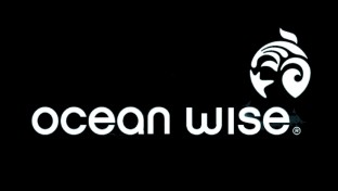 Ocean Wise Company Profile | Recycling Product News