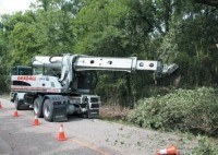 Tree limb shear attachment