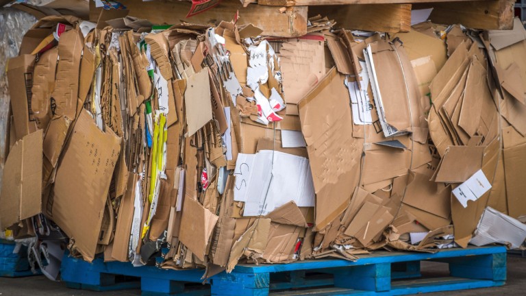 Cardboard box articles disregard sustainability importance