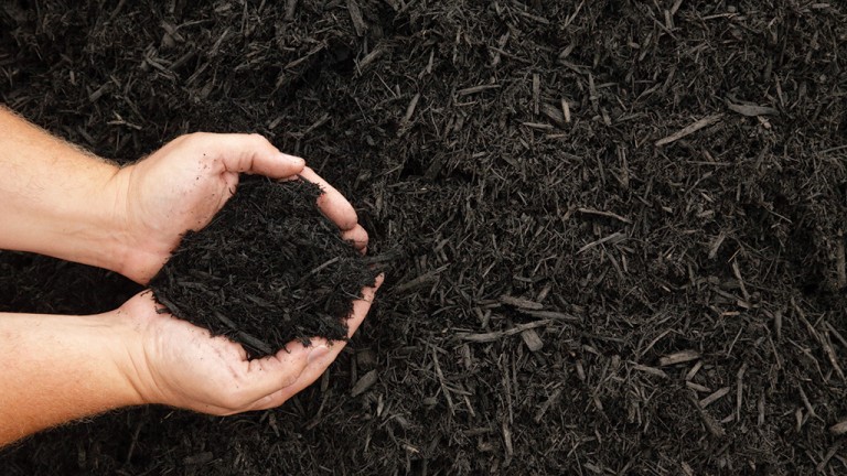 The bipartisan appeal of compost: bringing forward benefits for the ...