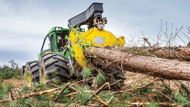 Deere & Company appoints Mary Pat Tubb as VP of worldwide forestry